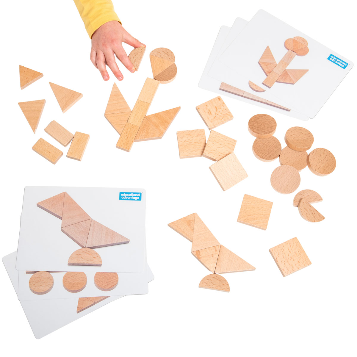 2D Wooden Shapes - Educational Advantage, Distributor for The Freckled ...